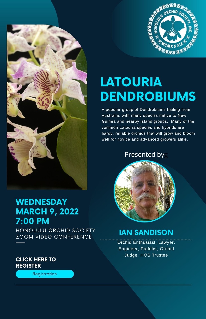Ian Sandison to speak on Latouria Dendrobiums - Honolulu Orchid Society