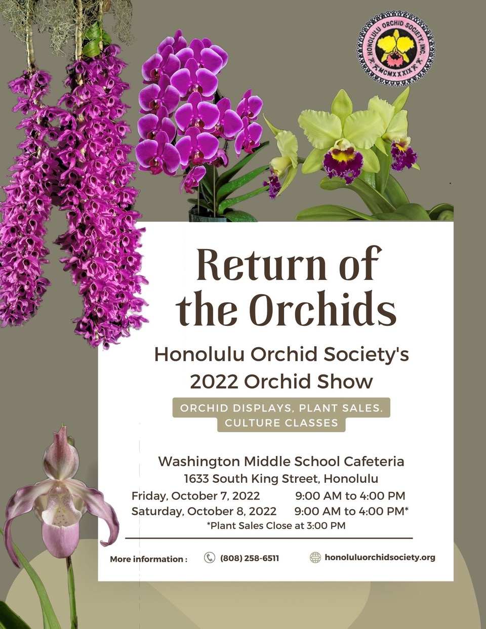 In Bloom – Honolulu Orchid Society